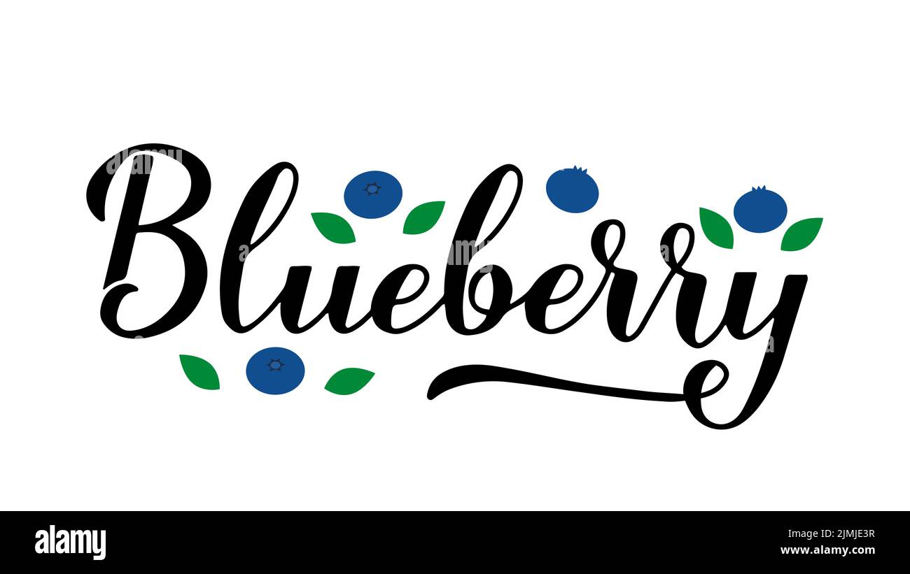 Blueberry calligraphy hand lettering blueberries. Fresh summer berry ...