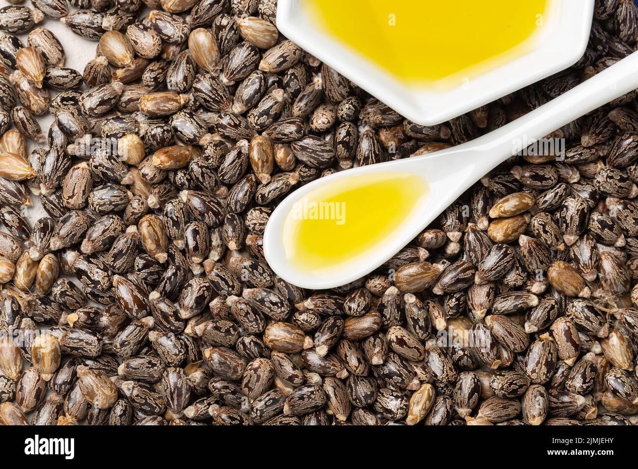 castor oil seeds spoon and white bowl, top view image Stock Photo - Alamy