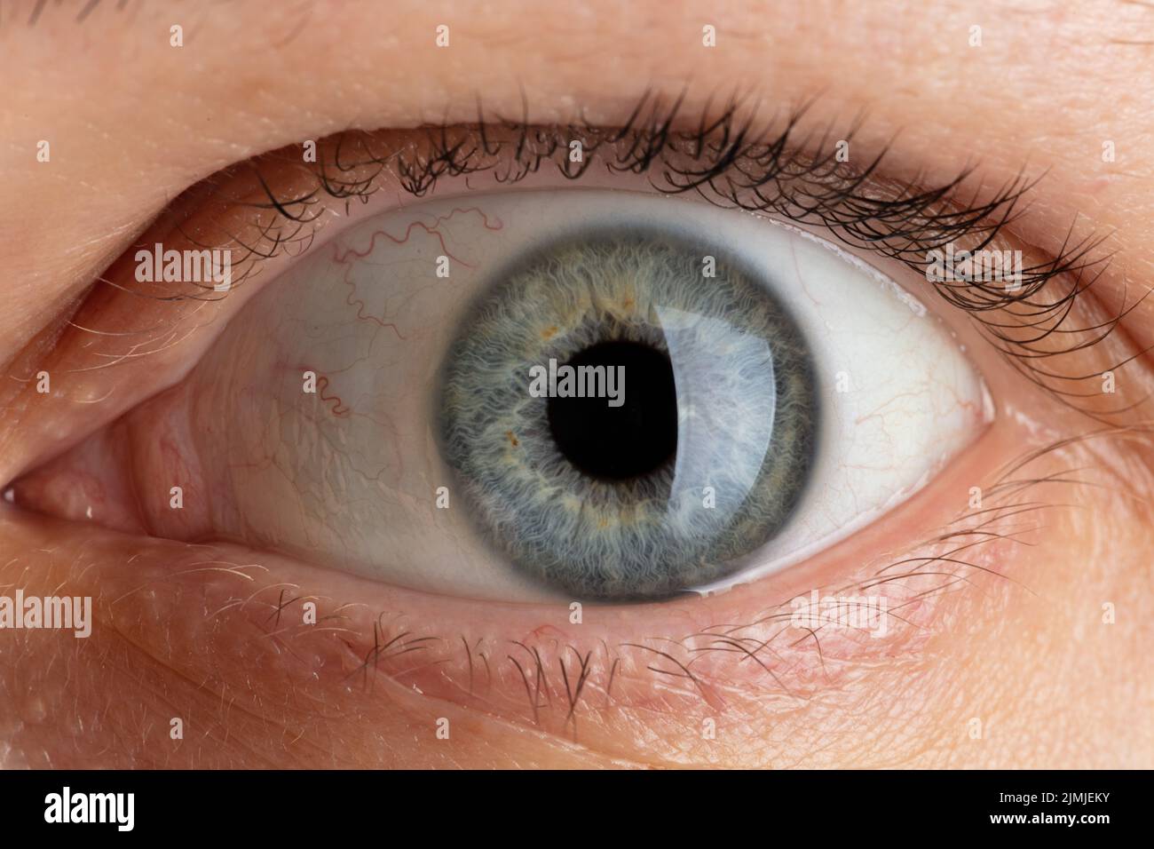 Human wide open blue eye hi-res stock photography and images - Alamy