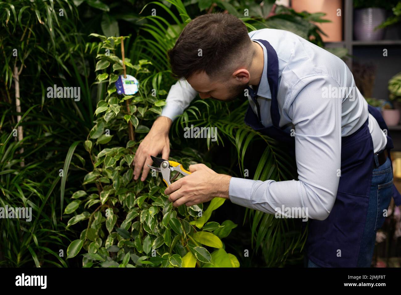 Flower warehouse worker at a garden center caring for plants Stock ...