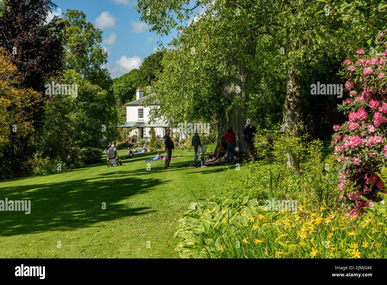 Rosemoor gardens devon hi-res stock photography and images - Alamy