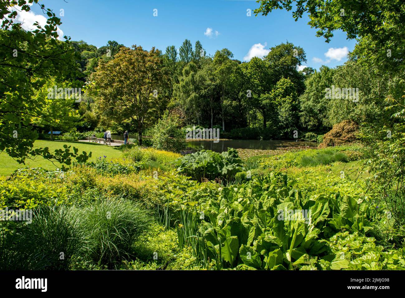 The Lake at Rosemoor Gardens, Torrington, Devon, England Stock Photo ...