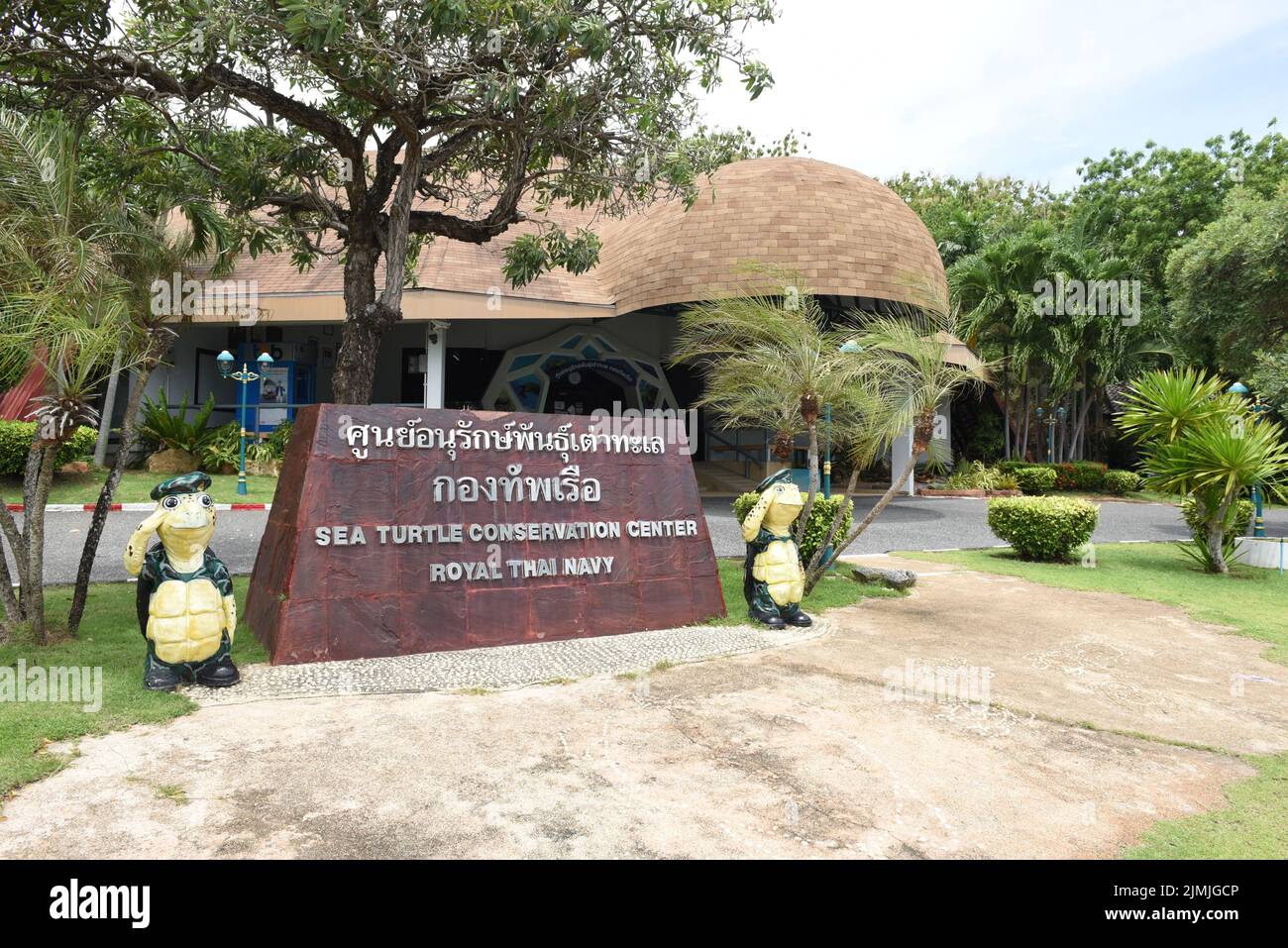 Chonburi, Thailand. 06th Aug, 2022. Sea Turtle Conservation Center is ...