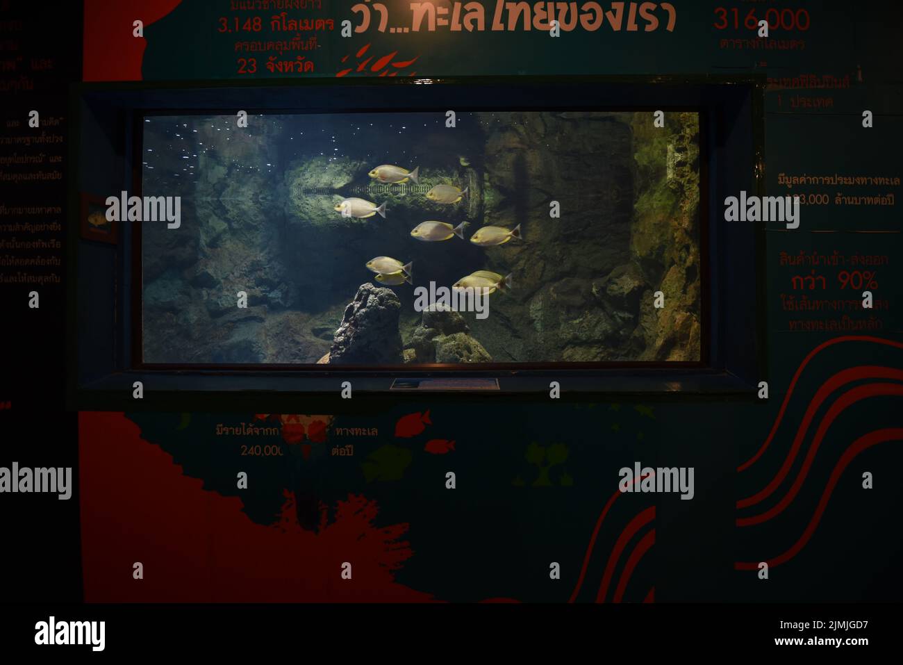 Chonburi, Thailand. 06th Aug, 2022. Sea Turtle Conservation Center is ...