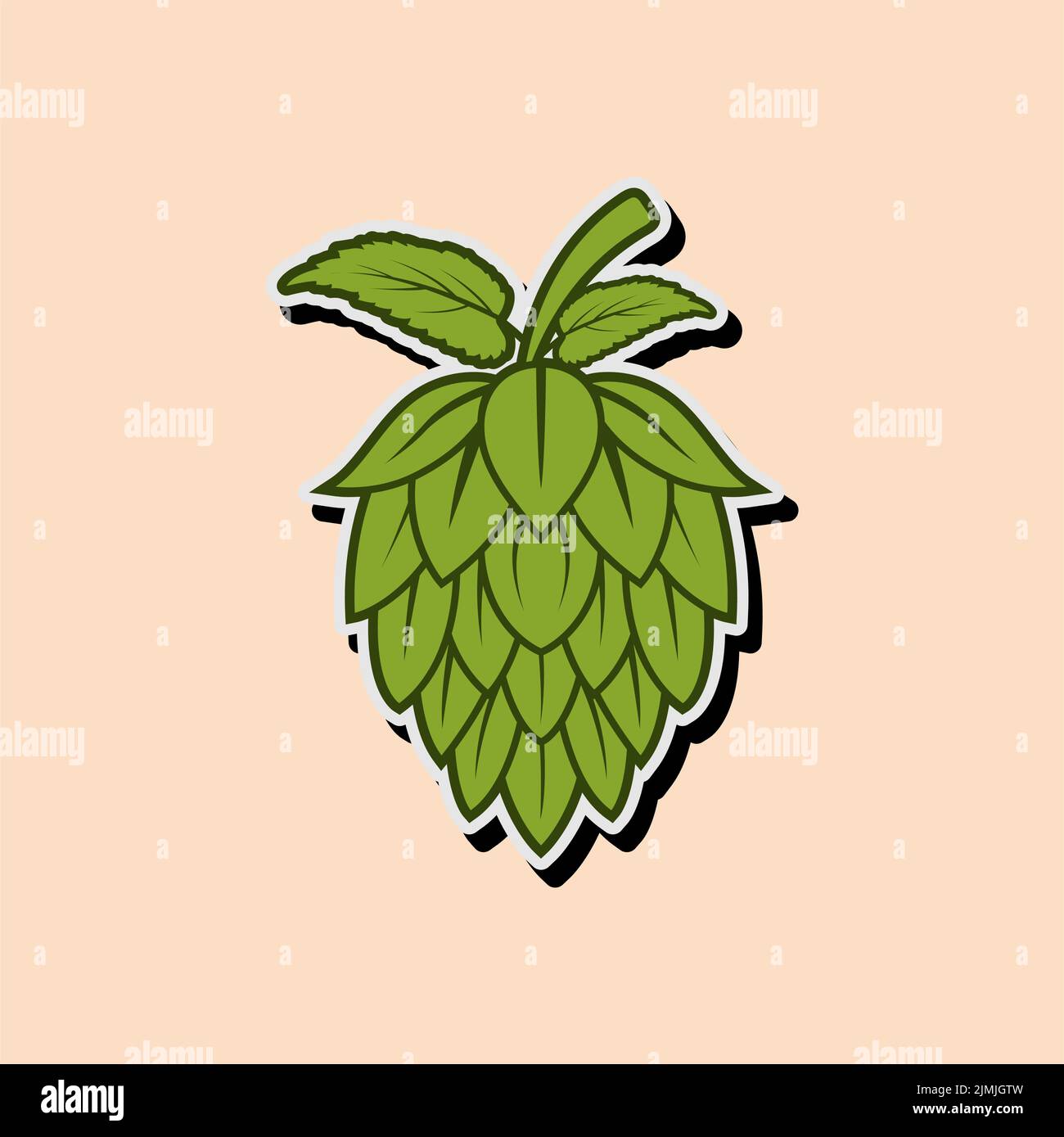 Hops flower Illustration for Beer Brewery logo Stock Vector Image & Art ...