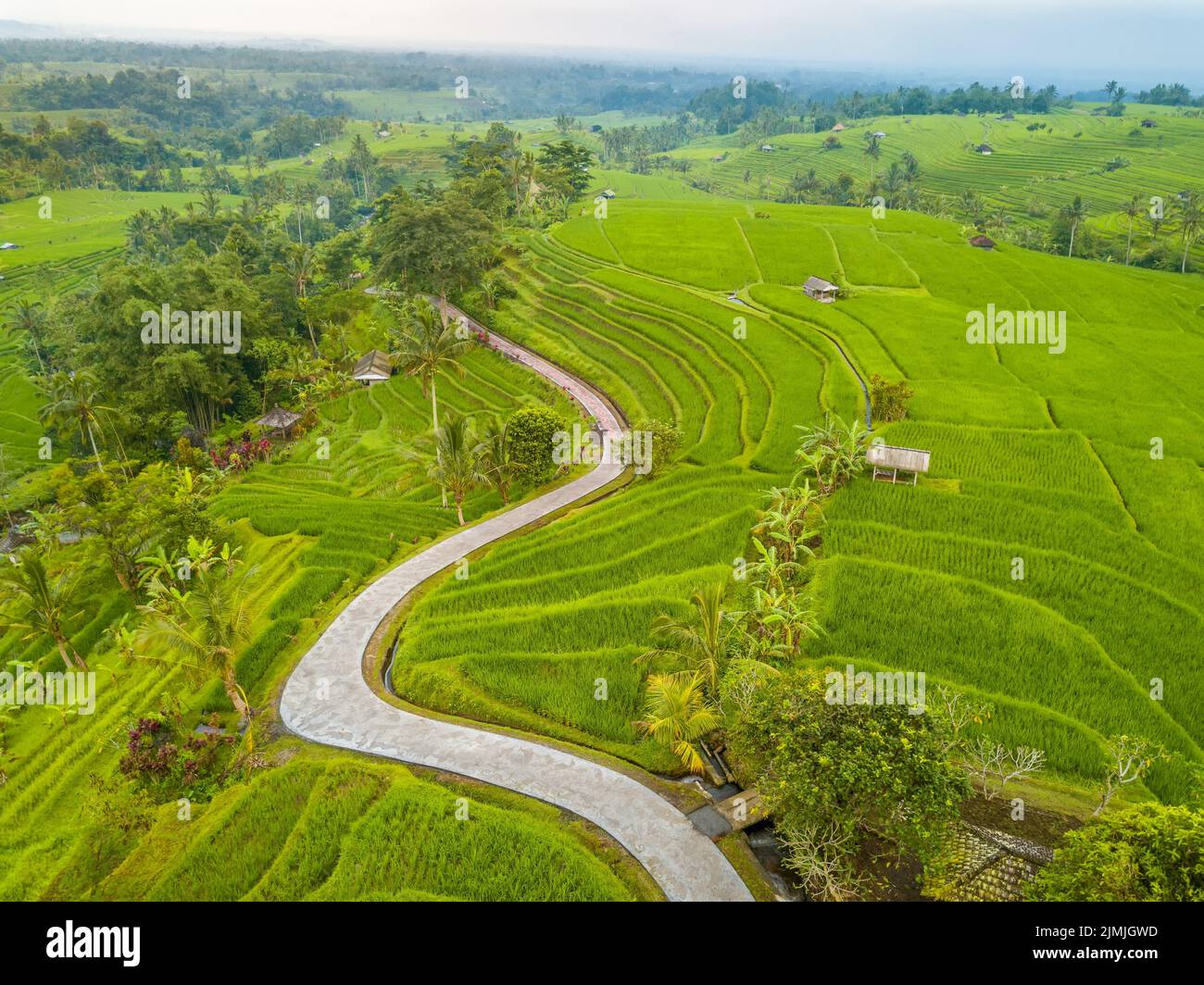 Terraces of Rice Fields in Indonesia and a Winding Footpath. Aerial ...