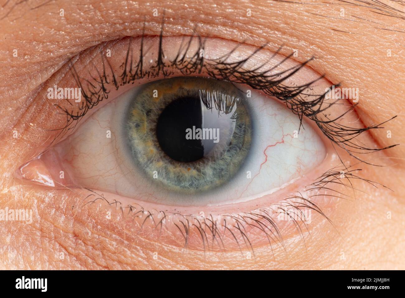 Pupil blue hi-res stock photography and images - Alamy