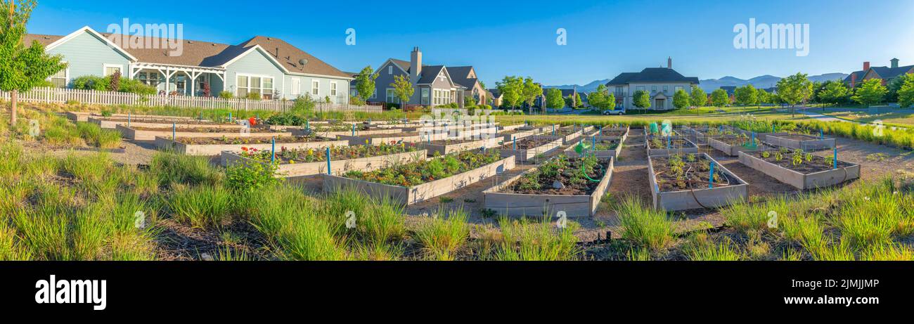 Variety of crops on a public garden at Daybreak, South Jordan, Utah ...