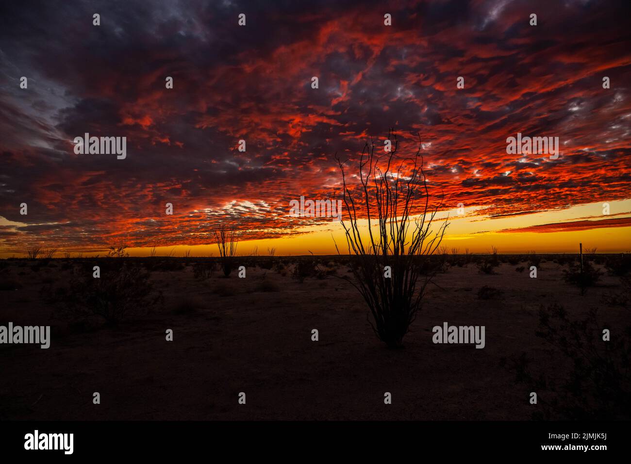 The sunset scenery hi-res stock photography and images - Alamy
