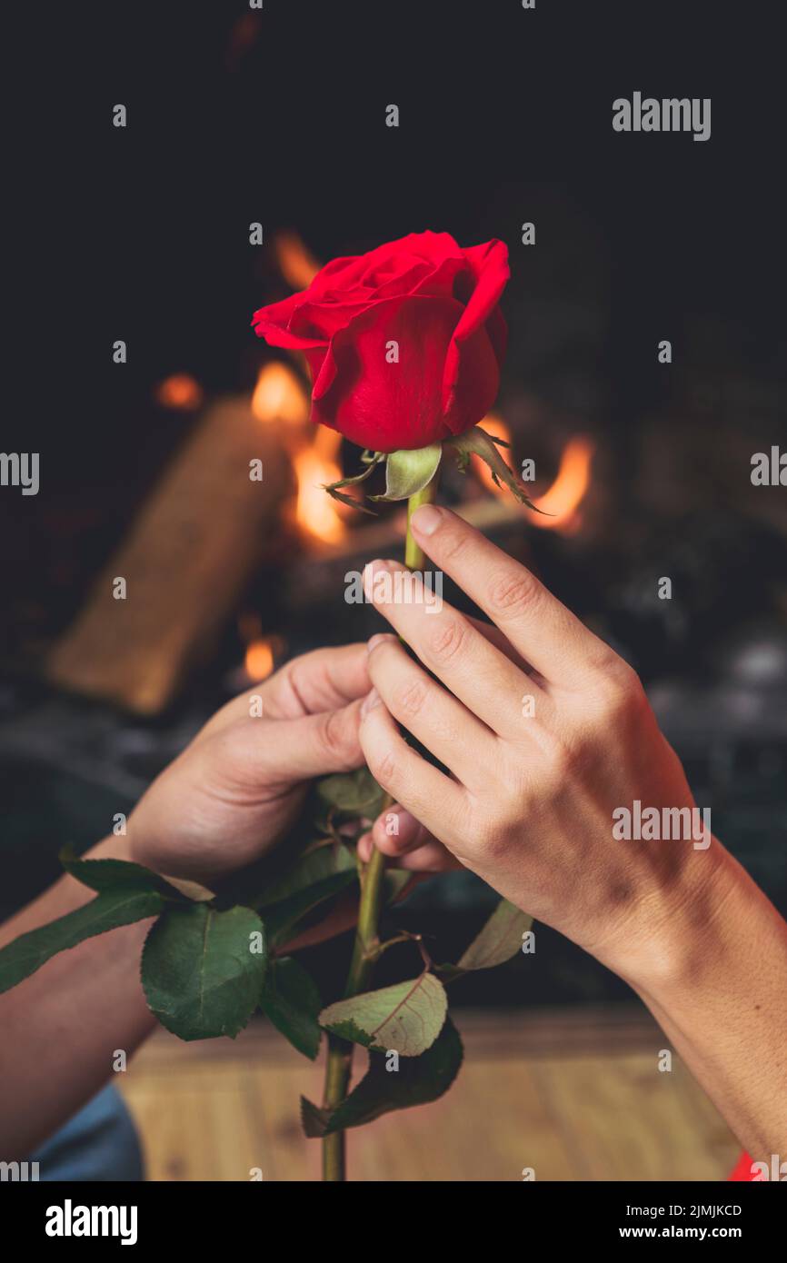 Rose hands love hi-res stock photography and images - Alamy