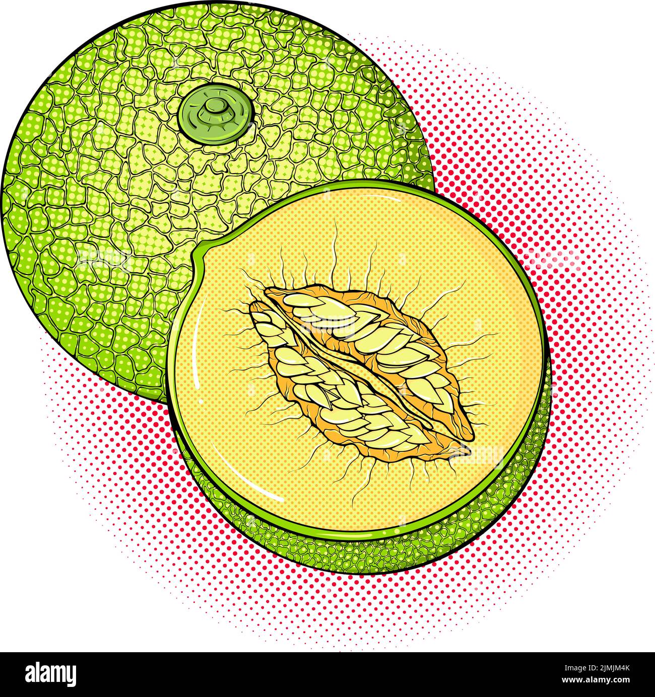 Half and whole melon Pop Art style sticker Stock Vector Image & Art - Alamy