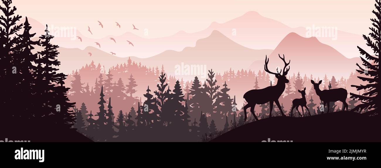 Horizontal banner. Silhouette of deer, doe, fawn standing on meadow in ...