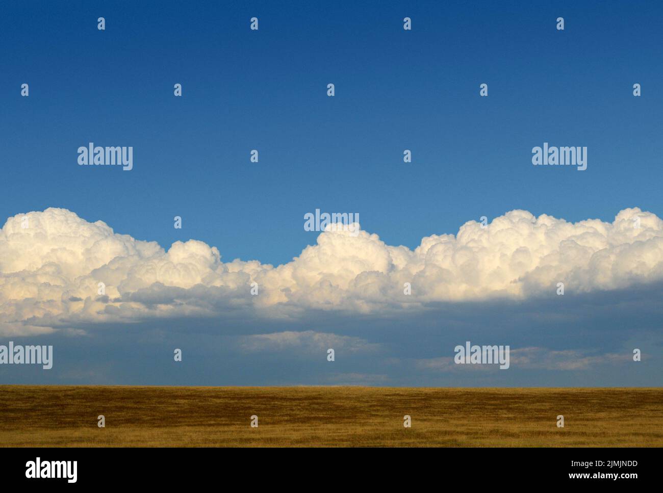 A bank of cumulus clouds floating over an empty field Stock Photo - Alamy