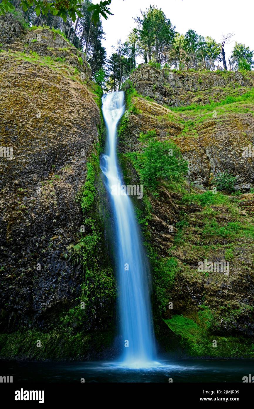 Horsetail Falls - Portland, Oregon Stock Photo - Alamy