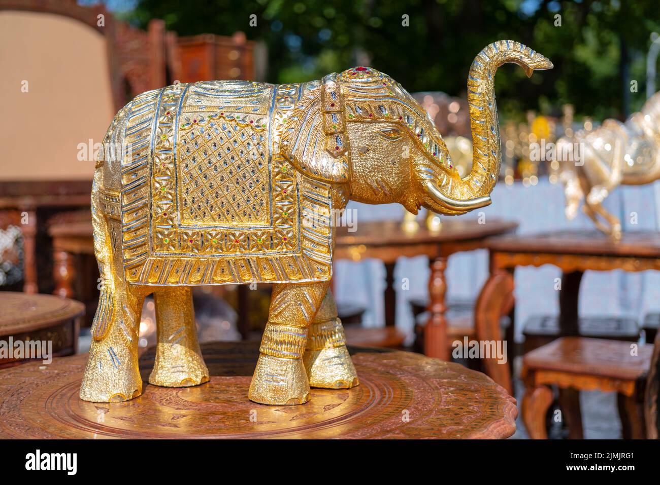 Elephant trunk decoration india hi-res stock photography and images - Alamy