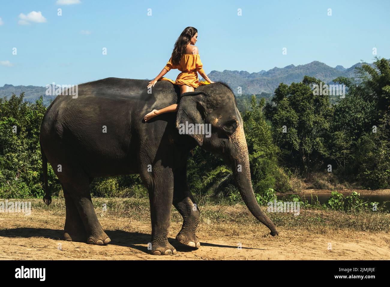 Woman wearing beautiful orange dress is riding the elephant Stock Photo ...