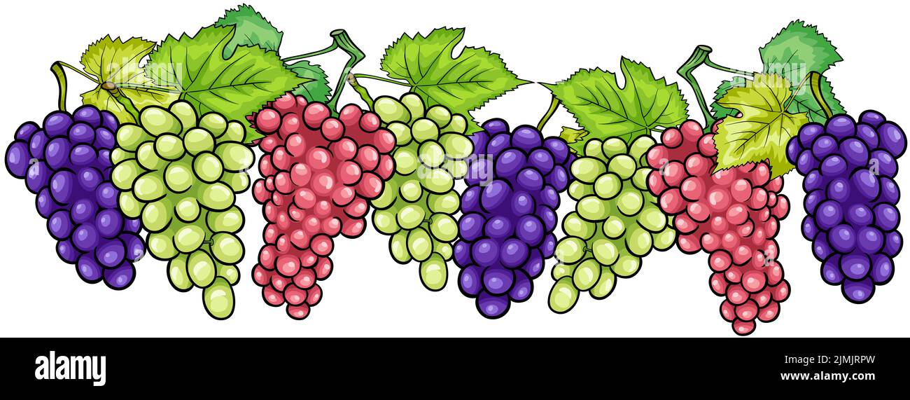 Bunches of grapes fruit cartoon illustration Stock Photo - Alamy