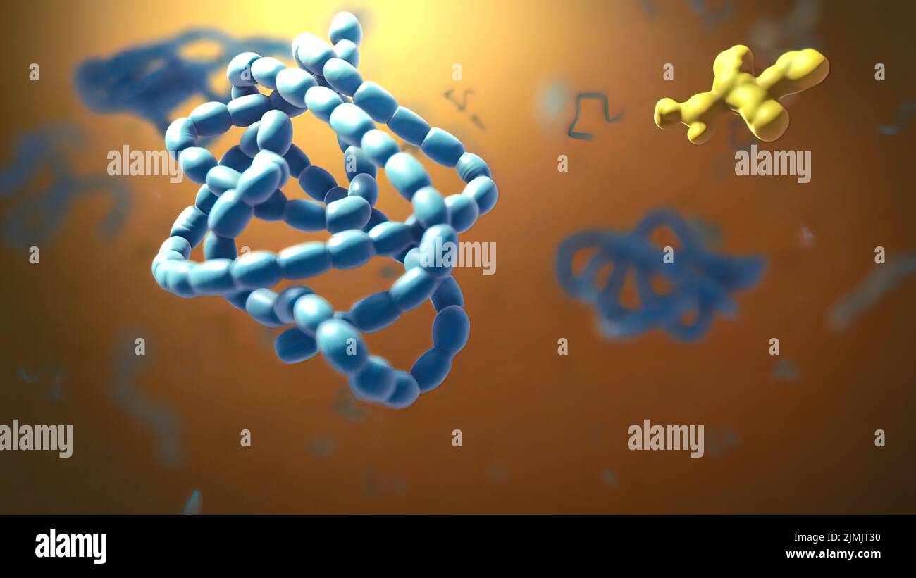 Cell membrane nucleus cytoplasm hi-res stock photography and images - Alamy