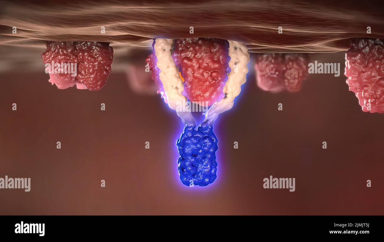 Cancer metabolism and immune hi-res stock photography and images - Alamy