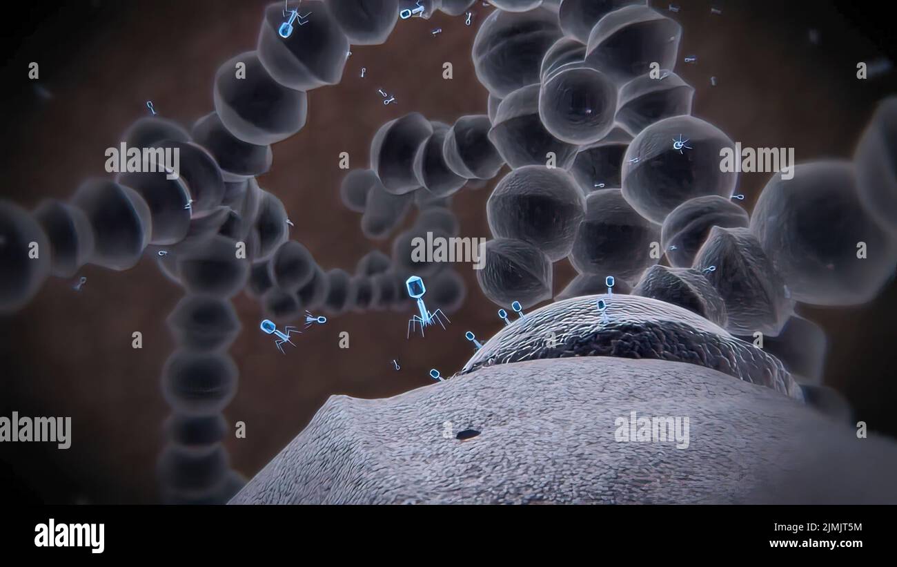 Bacteriophage hi-res stock photography and images - Alamy