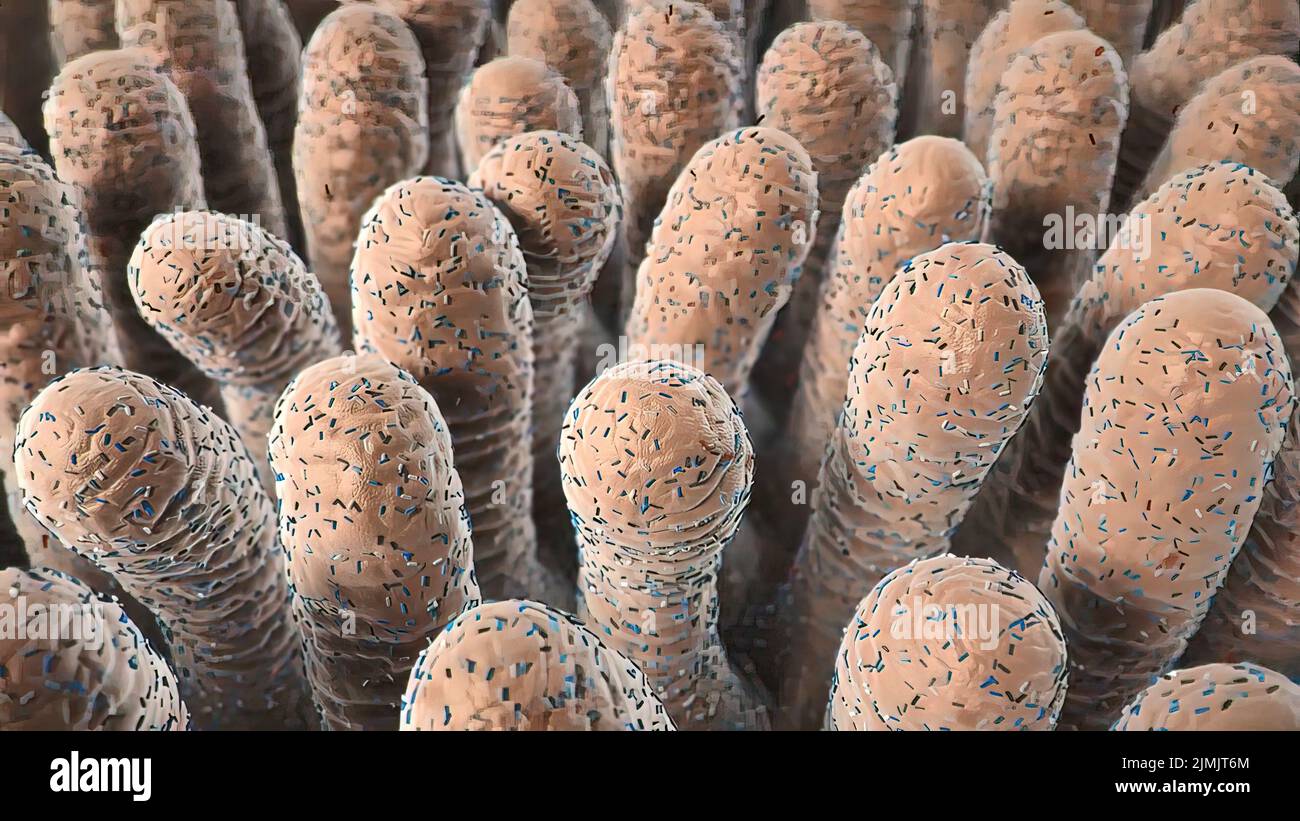 Yogurt bacteria microscope hi-res stock photography and images - Alamy