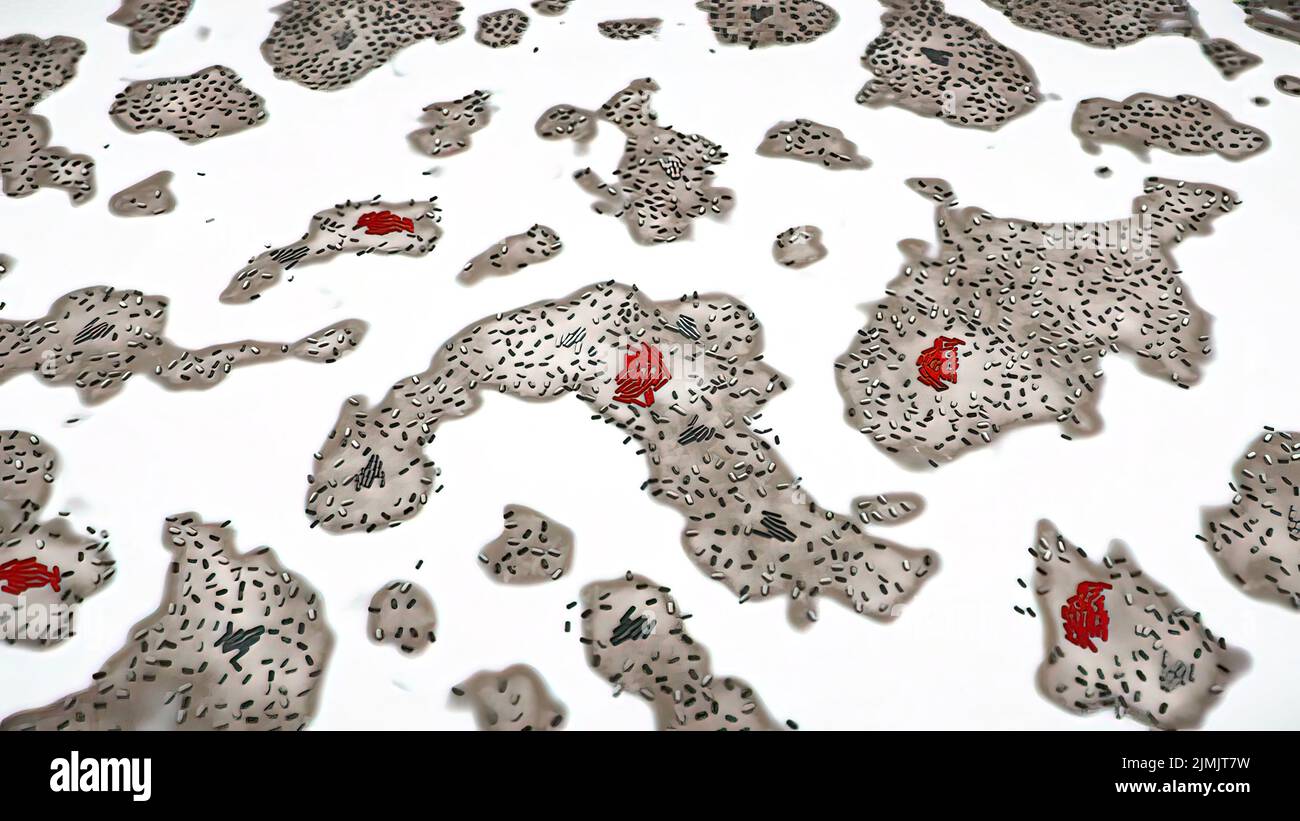 Bacteria microscope salmonella hi-res stock photography and images - Alamy