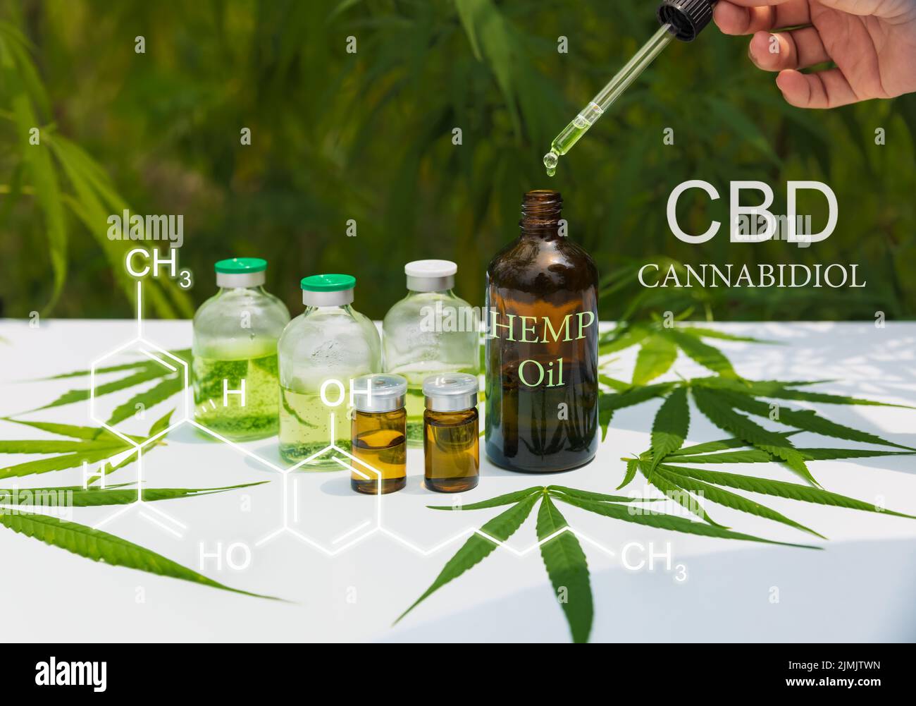 CBD hemp oil and hemp leaves on white background for herbal treatment ...