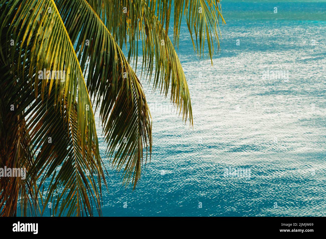 Turquoise water palm tree hi-res stock photography and images - Alamy