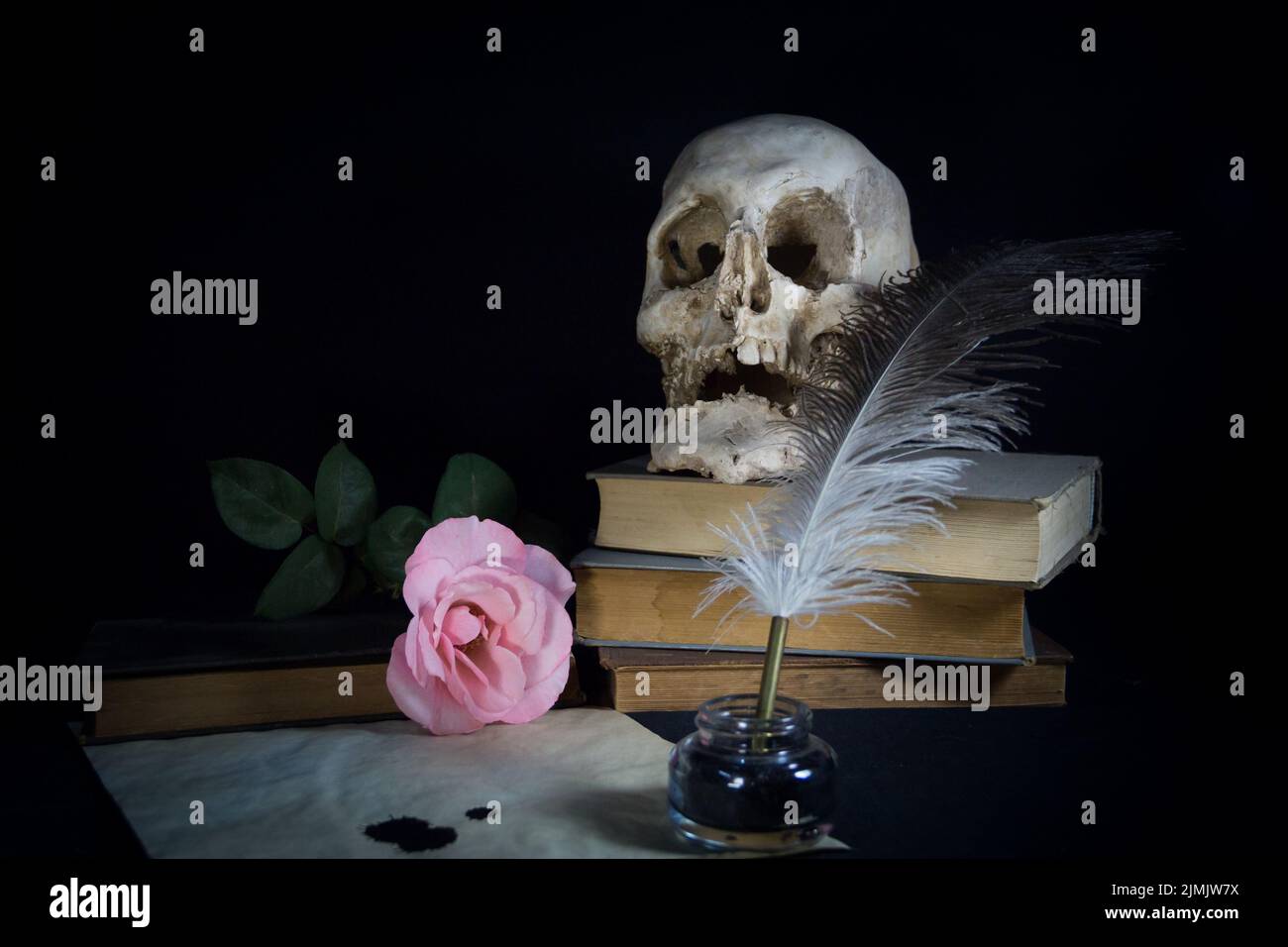 William shakespeare skull hi-res stock photography and images - Alamy