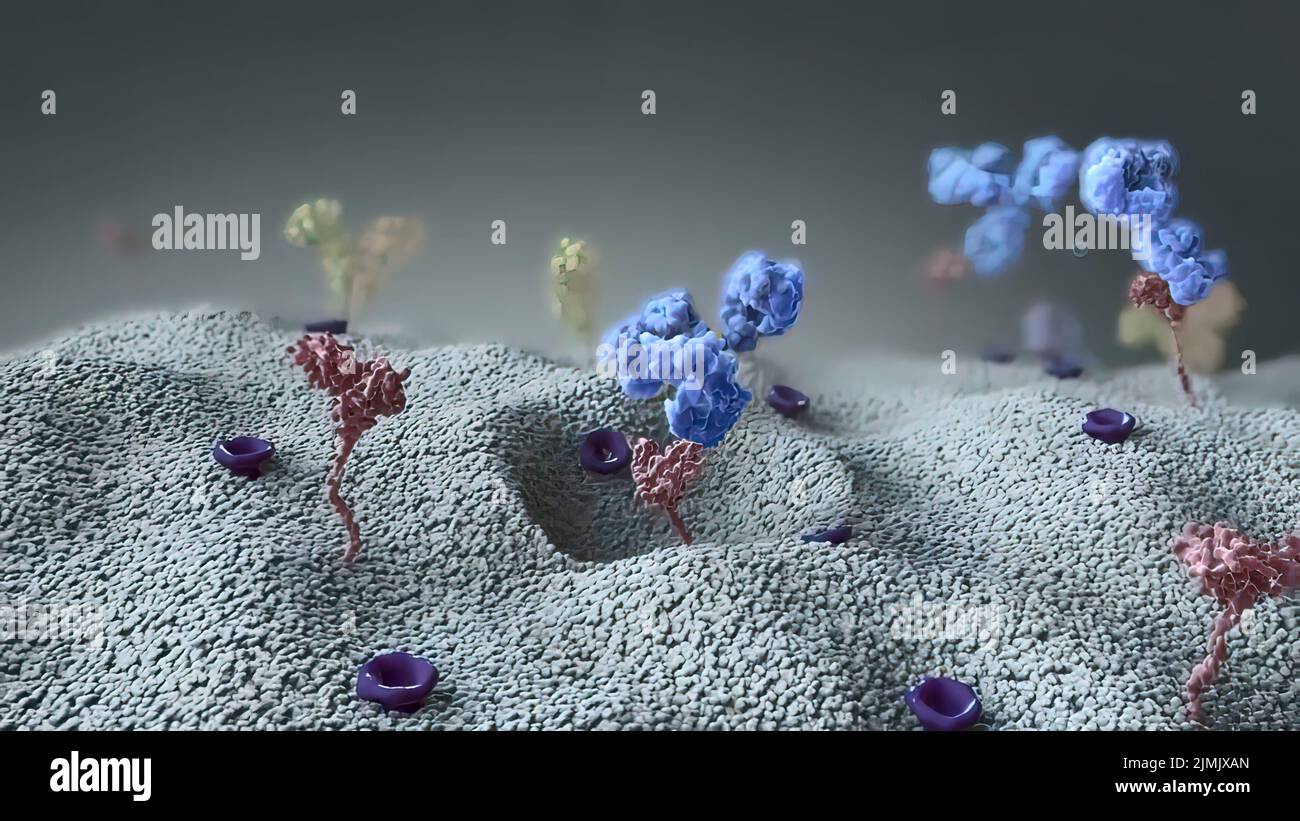 Damaged cells hi-res stock photography and images - Alamy