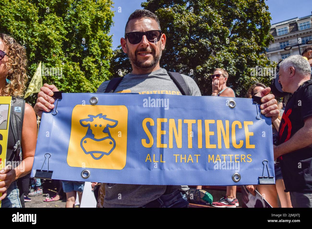 Animal sentience hi-res stock photography and images - Alamy