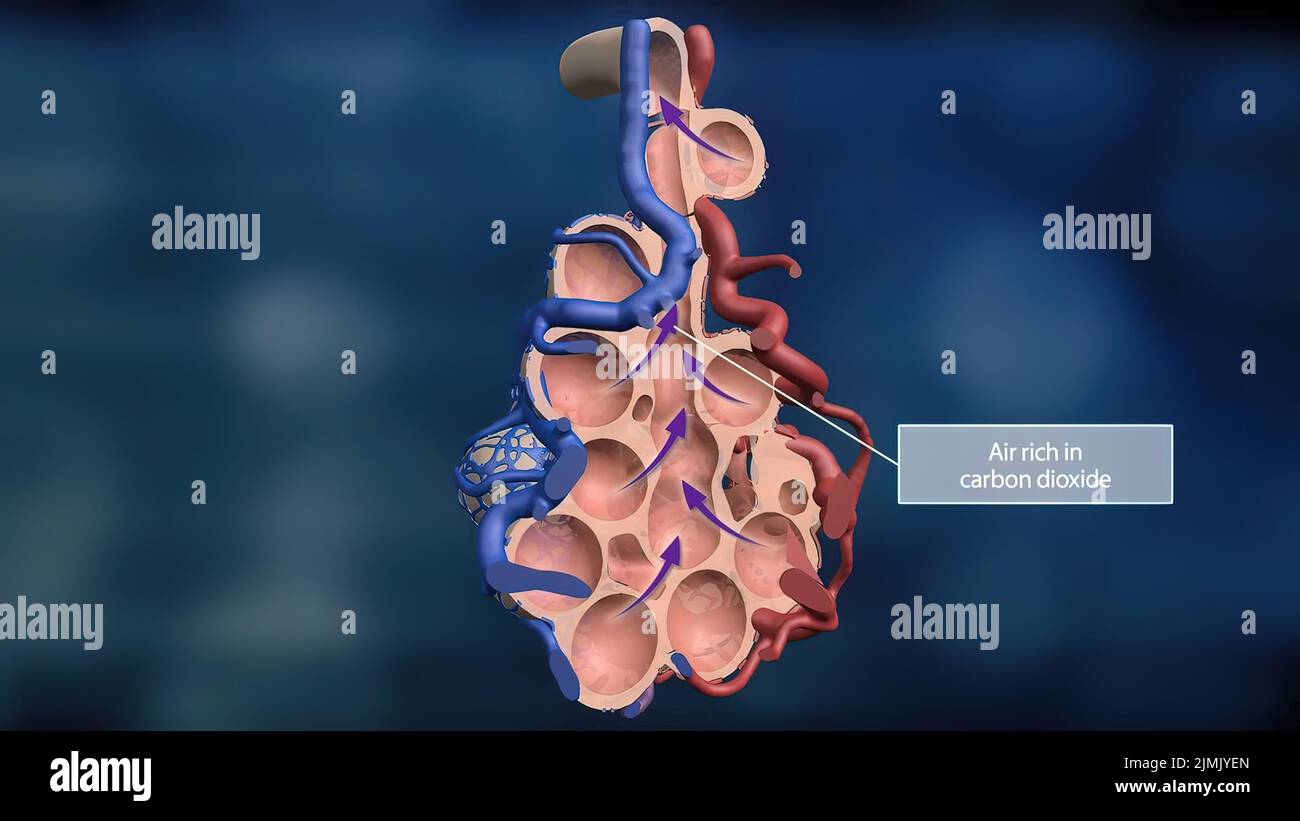 Nitrogen dioxide gas hi-res stock photography and images - Alamy