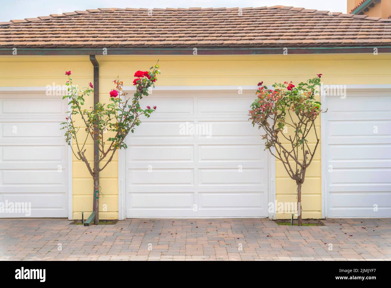 Garage exterior with flowering plants at the front at Carlsbad, San ...
