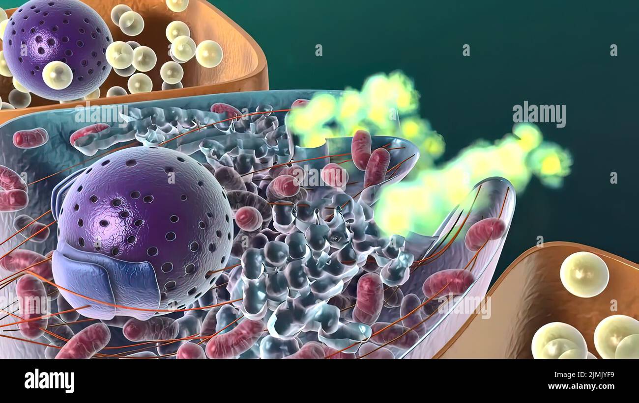 3d illustration precursor protein hi-res stock photography and images ...
