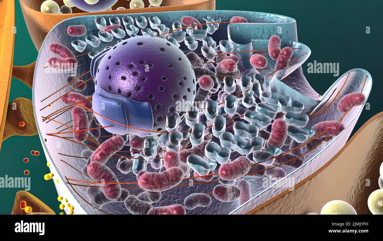 3d illustration precursor protein hi-res stock photography and images ...