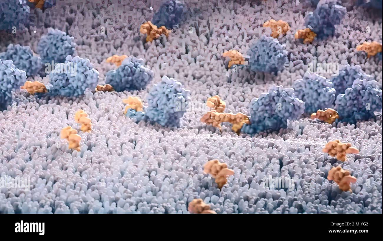 Neuroactivity hi-res stock photography and images - Alamy