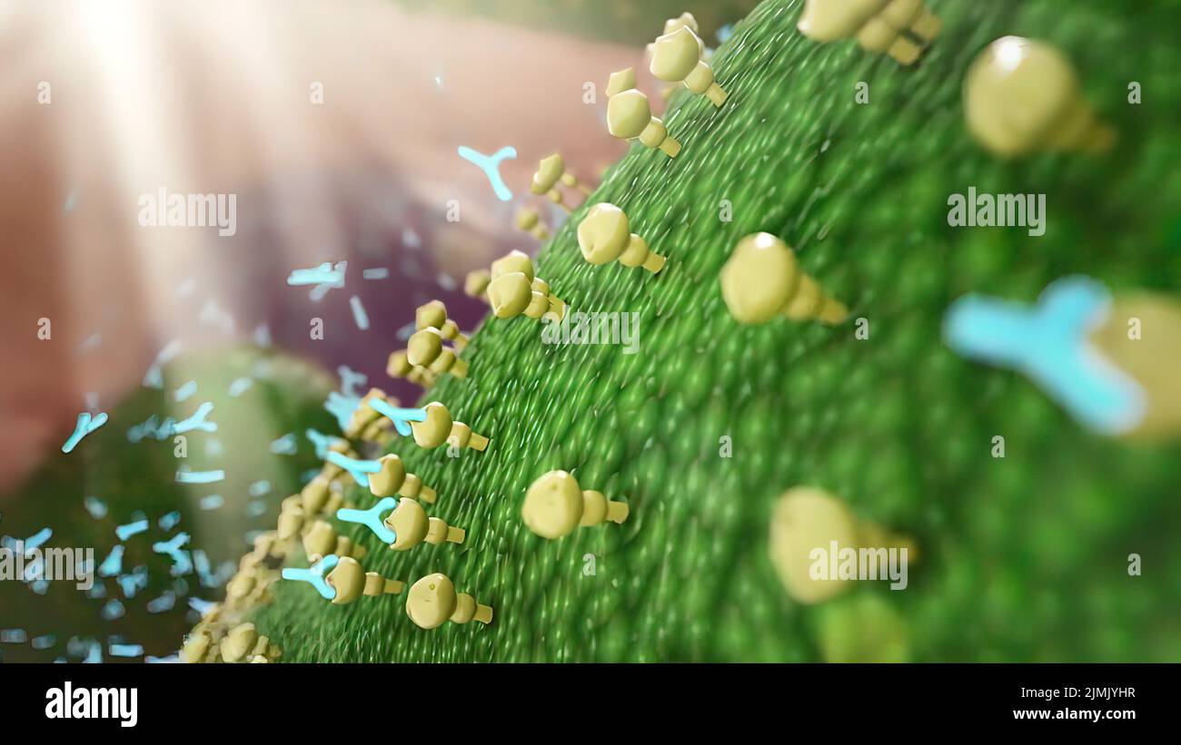 Diphtheria pseudomembrane hi-res stock photography and images - Alamy