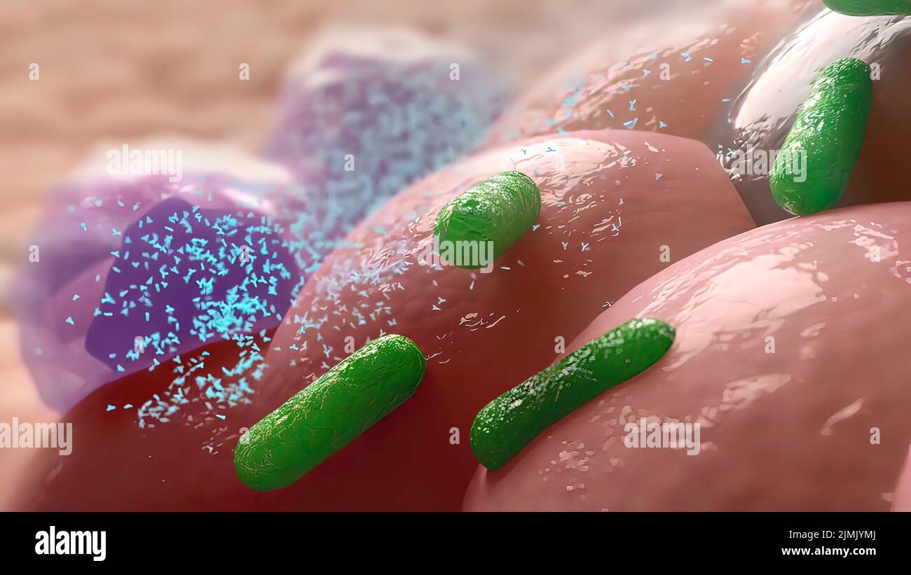 Diphtheria microscope hi-res stock photography and images - Alamy