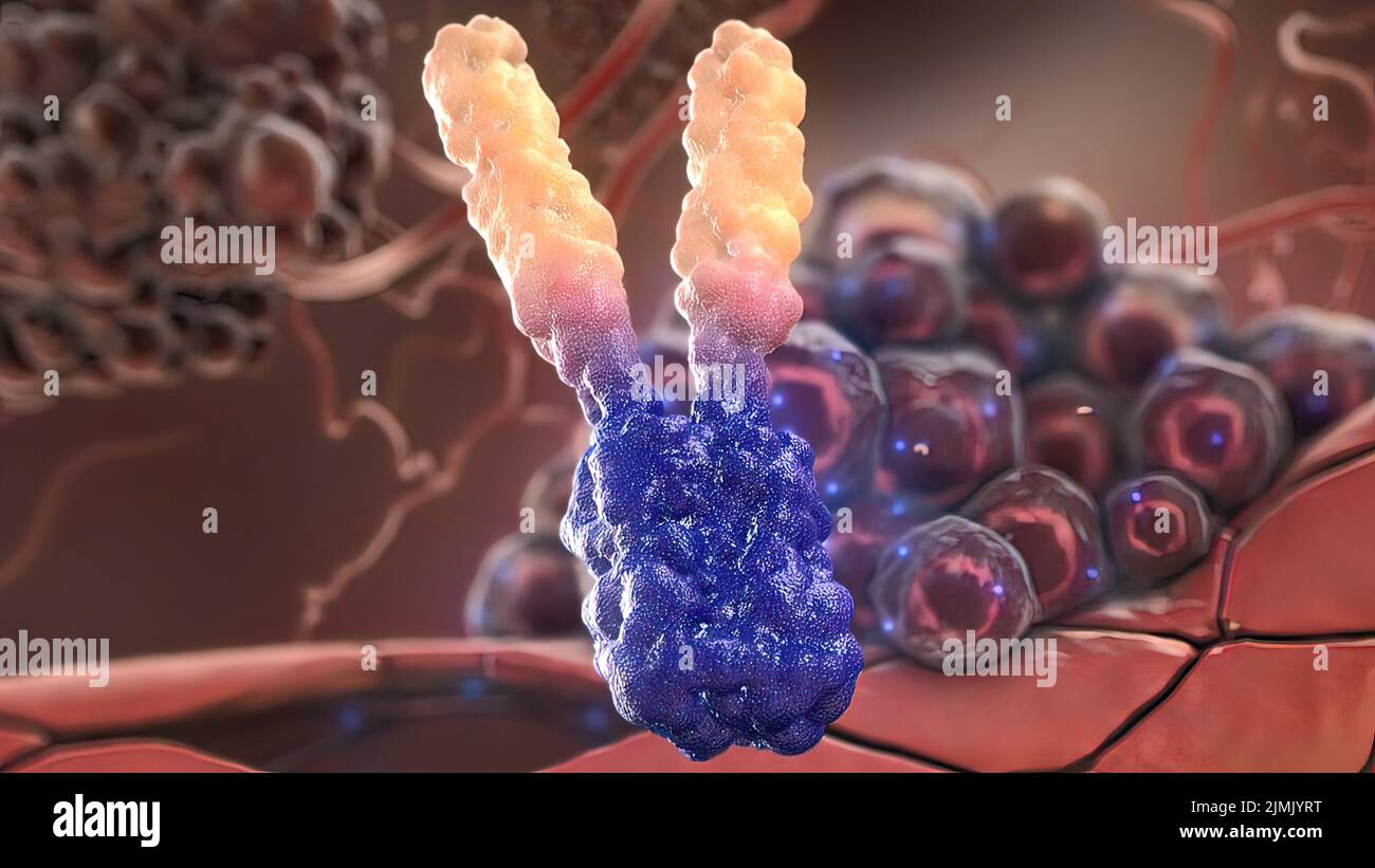 Fat cells magnification hi-res stock photography and images - Alamy