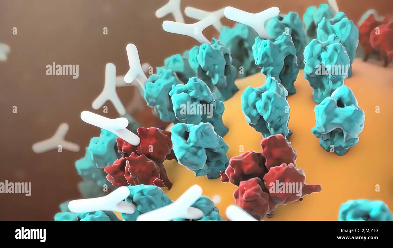 Immune system fever hi-res stock photography and images - Alamy