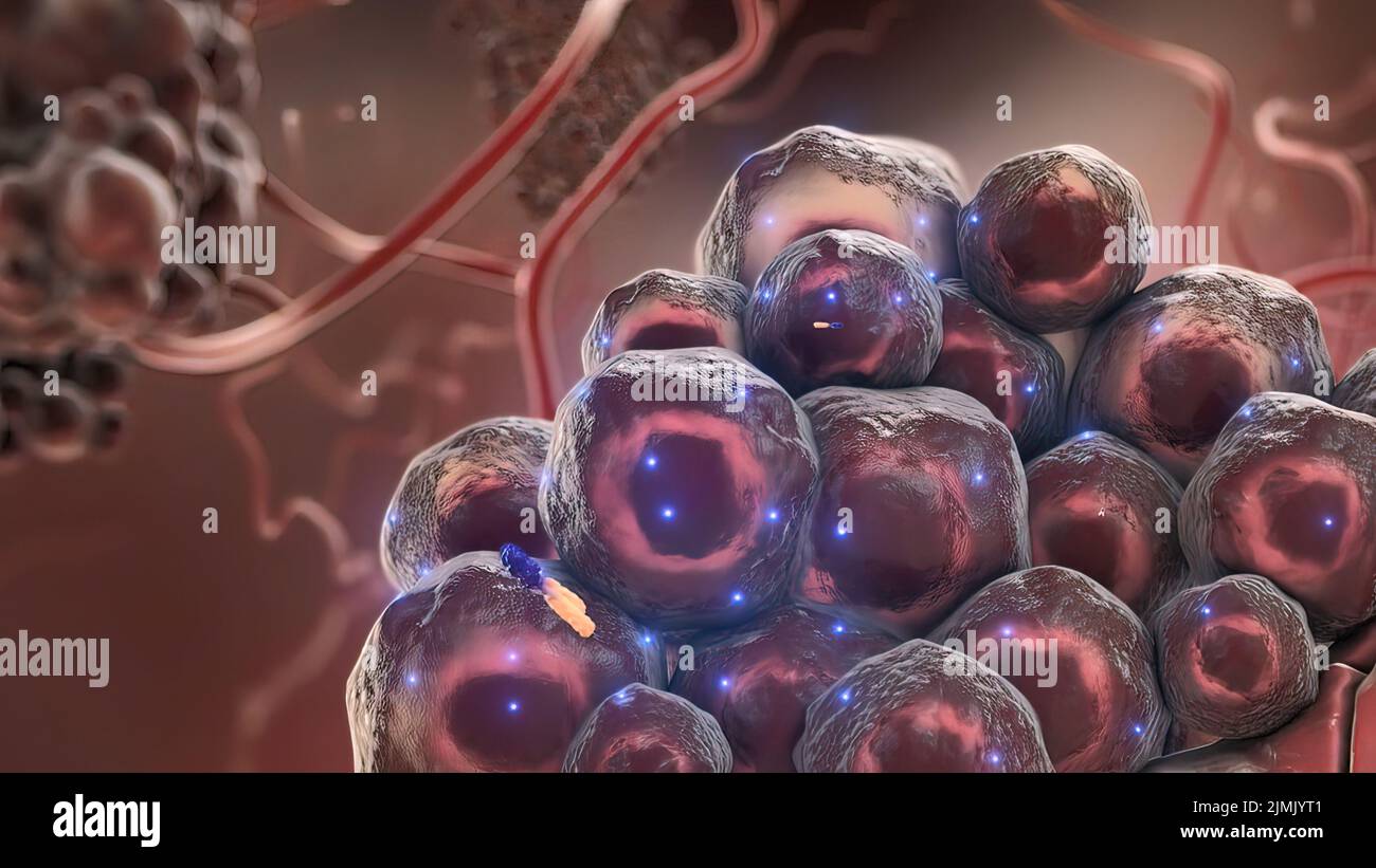 Antibodies cancer hi-res stock photography and images - Alamy