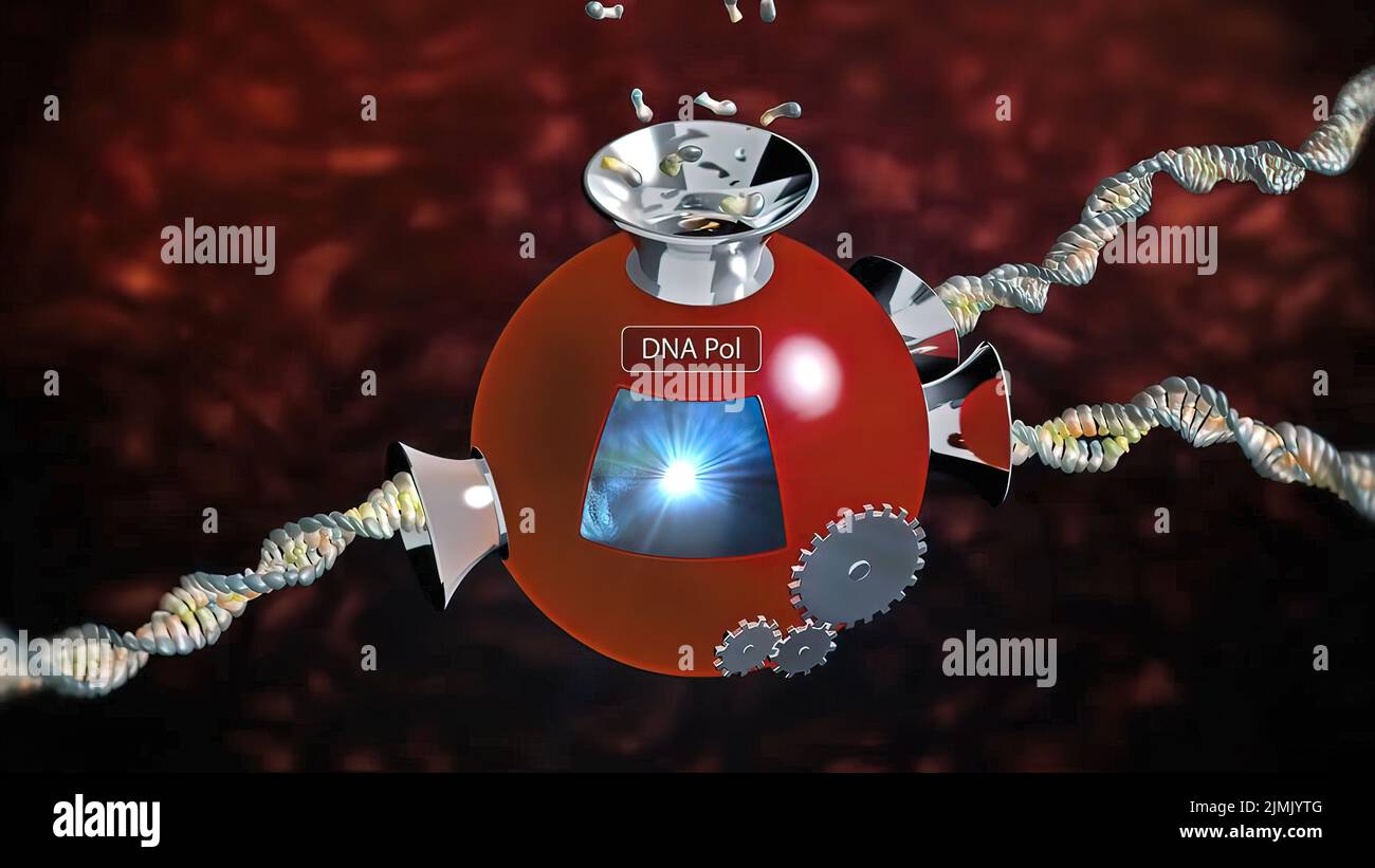 Trna molecule hi-res stock photography and images - Alamy