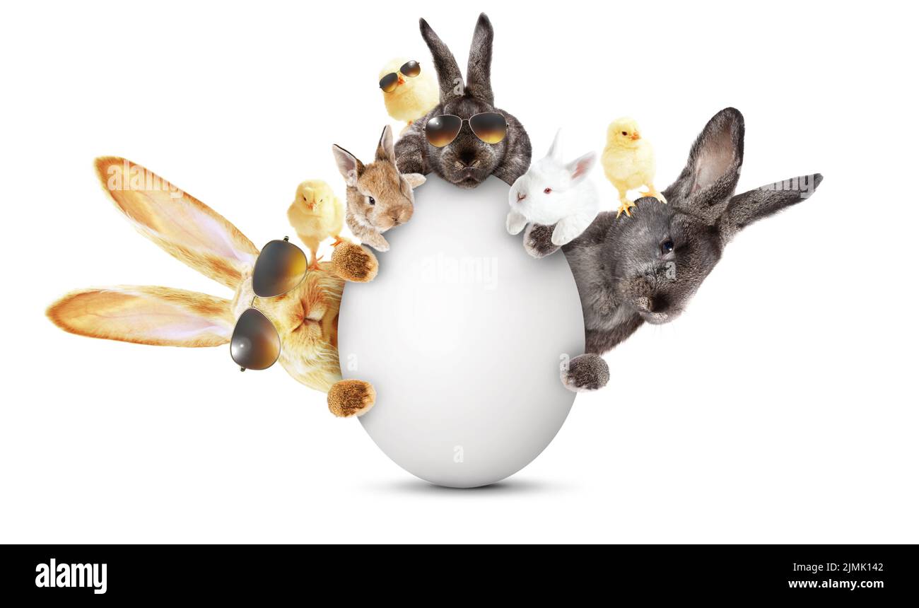 Funny Easter bunny. Happy Easter holiday concept Stock Photo - Alamy