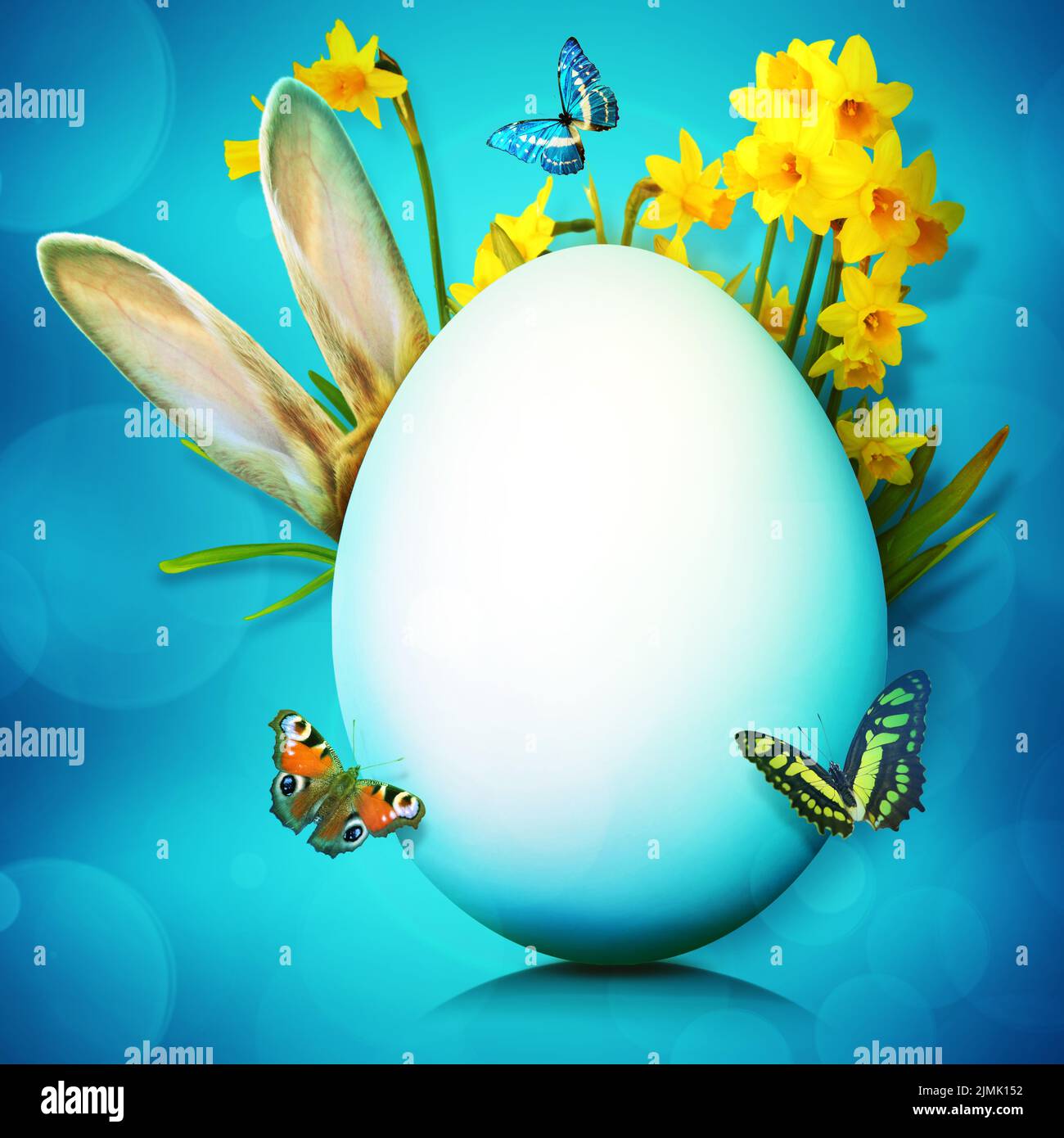 Funny Easter bunny. Happy Easter holiday concept Stock Photo - Alamy