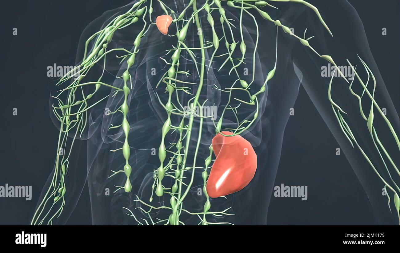 Thyroid test examination hi-res stock photography and images - Alamy