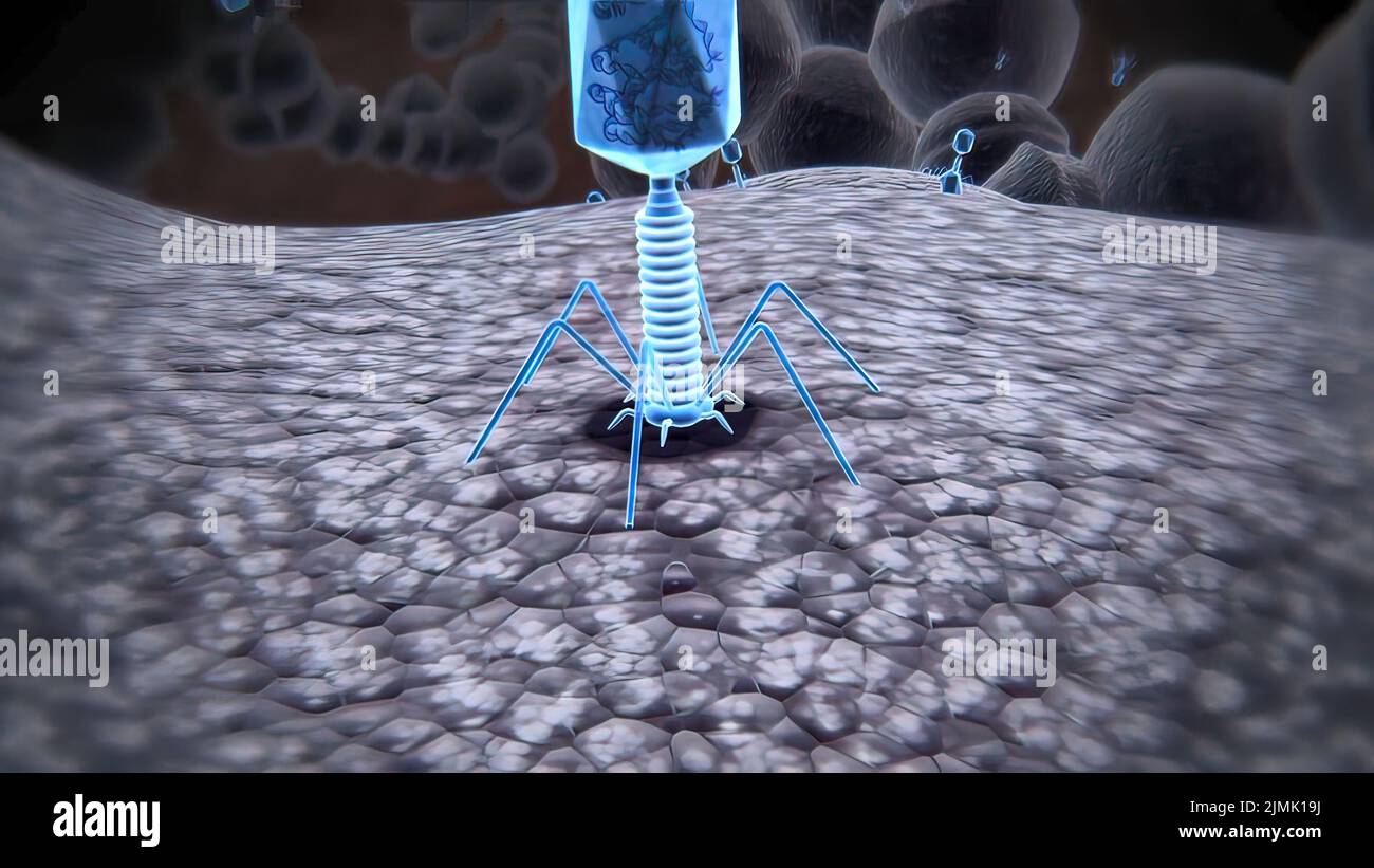 Bacteriophage virus hi-res stock photography and images - Alamy