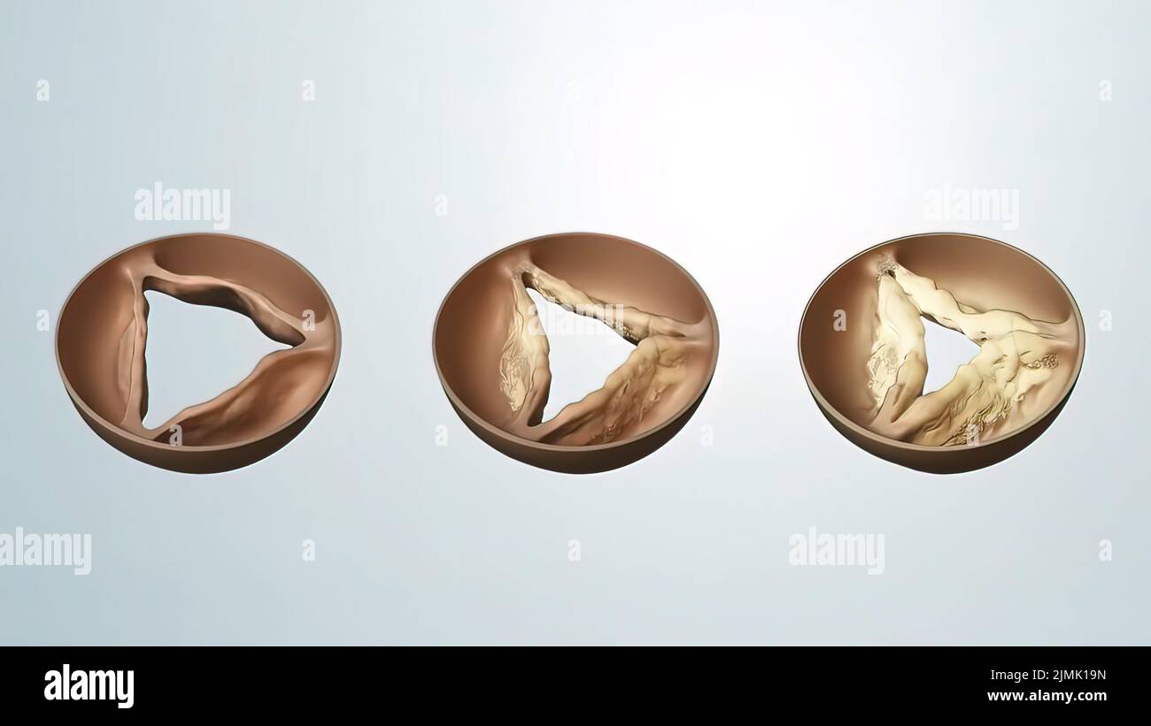 Rendering animated hi-res stock photography and images - Alamy