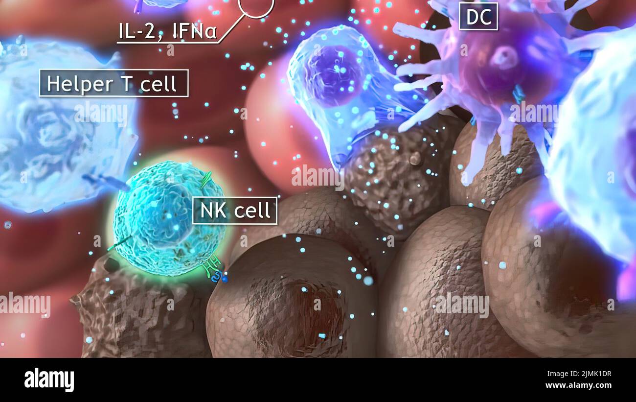 Human bone cell microscopic hi-res stock photography and images - Alamy