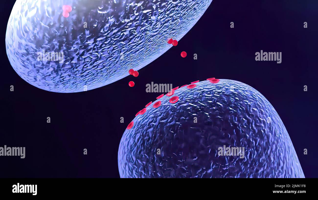 Neurons electrical light hi-res stock photography and images - Alamy