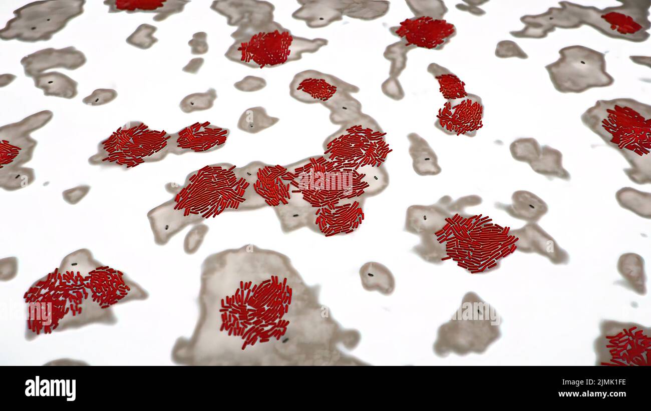 Yogurt bacteria microscope hi-res stock photography and images - Alamy